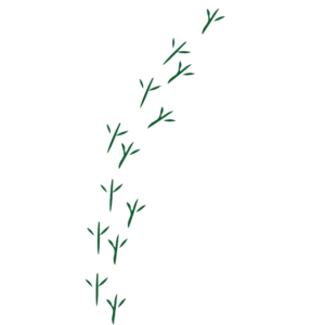 Le personnel de la FDC 77 - FDC 77